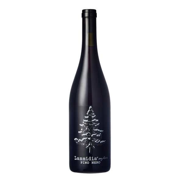 Pino Nero 2019 - Red Wine